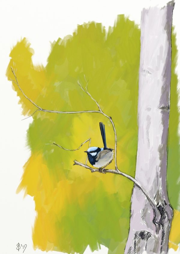 Digital Art Gallery – Brendan Blanchard Wildlife Artist